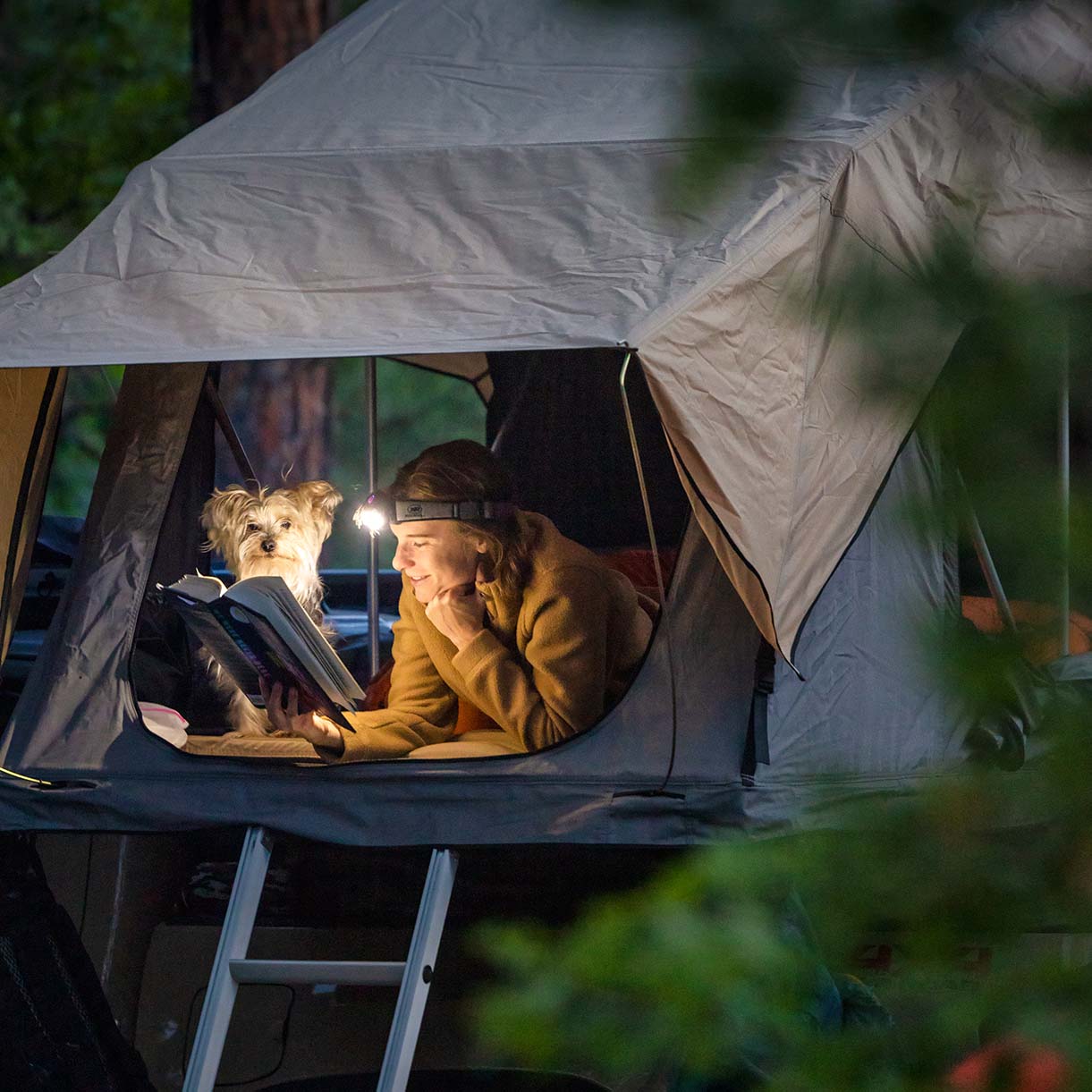 Pivot Pro Accessory Pack – NiteRider Technical Lighting